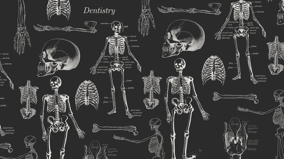 wallpaper dentistry